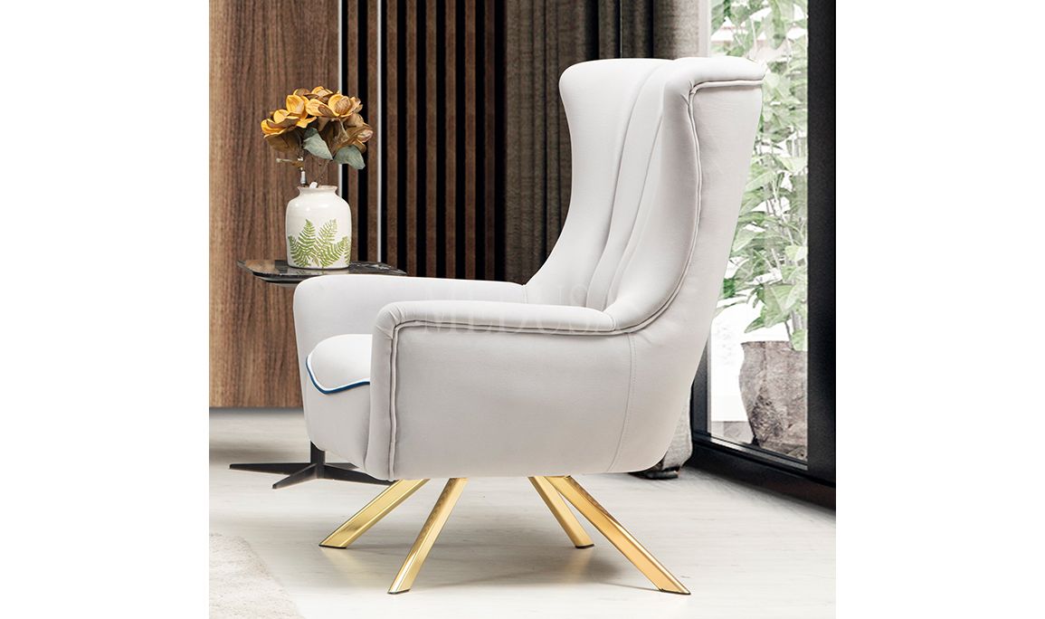 Modern Berjer Modelleri ve Fiyatları | Medusahome Sayfa 2